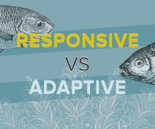 Diseño Responsive vs Adaptive. ¿Cuál es mejor?